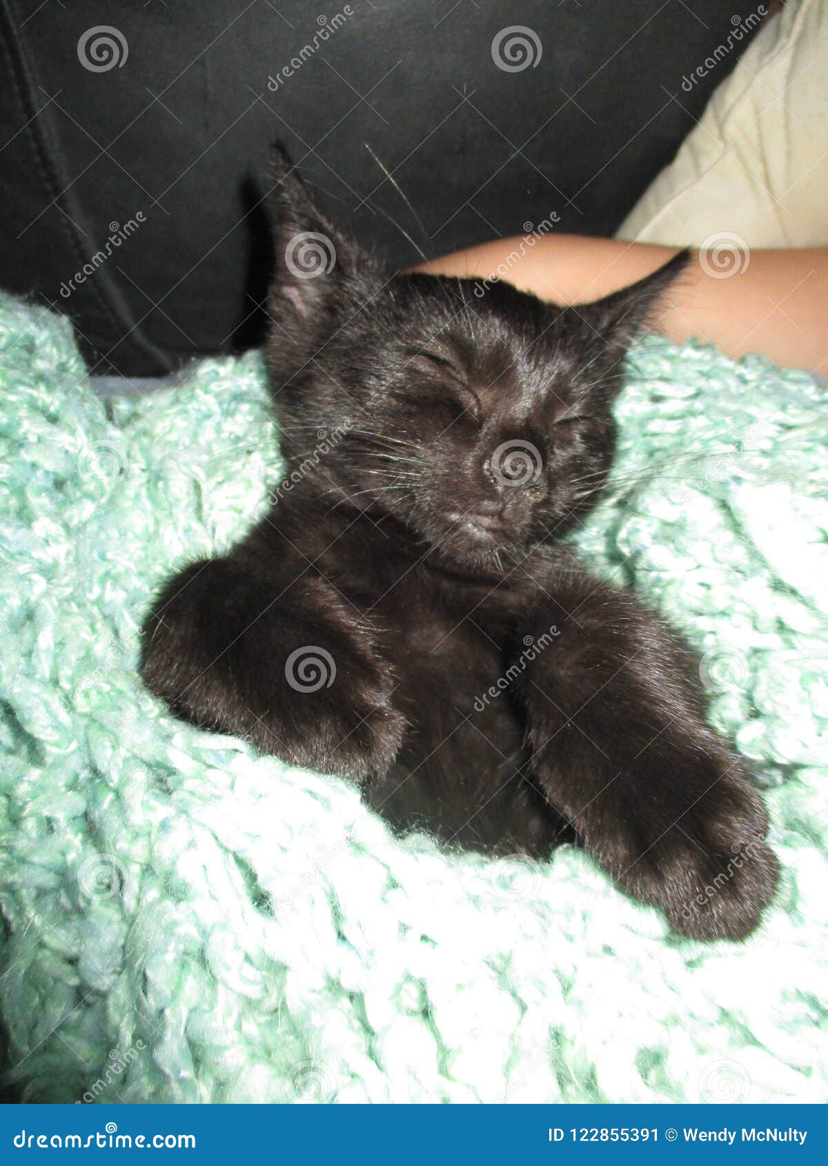 Shadow sleeping stock image. Image of baby, sleeping - 122855391