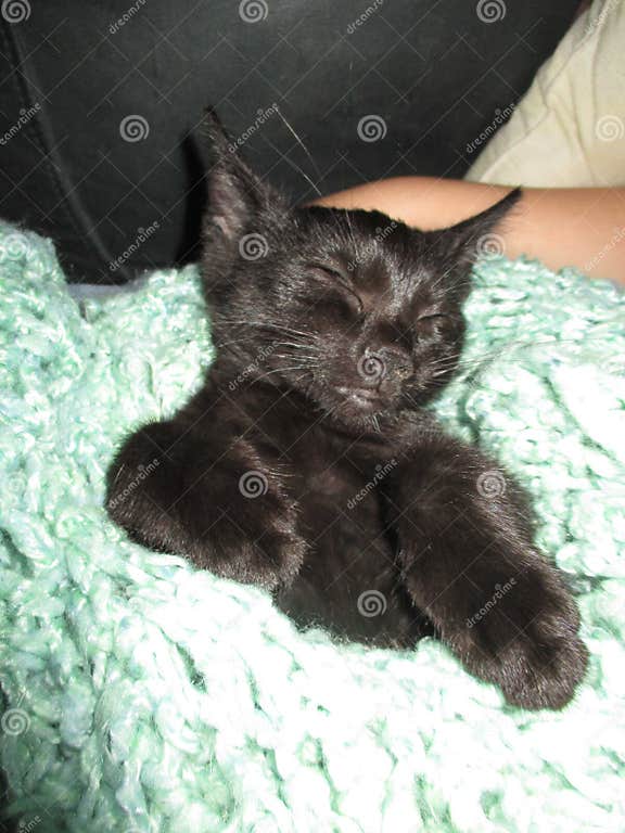 Shadow sleeping stock image. Image of baby, sleeping - 122855391