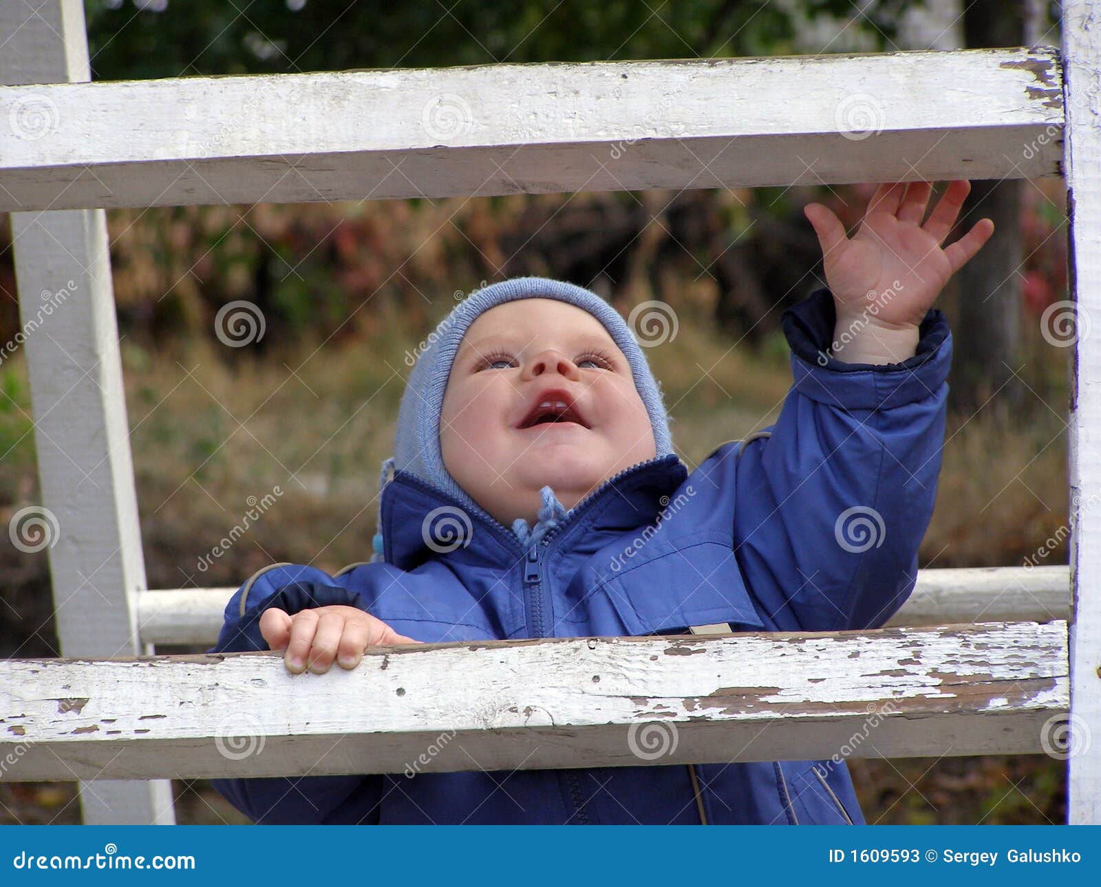 Baby on a ladder stock image. Image of climb, infant, blue - 1609593