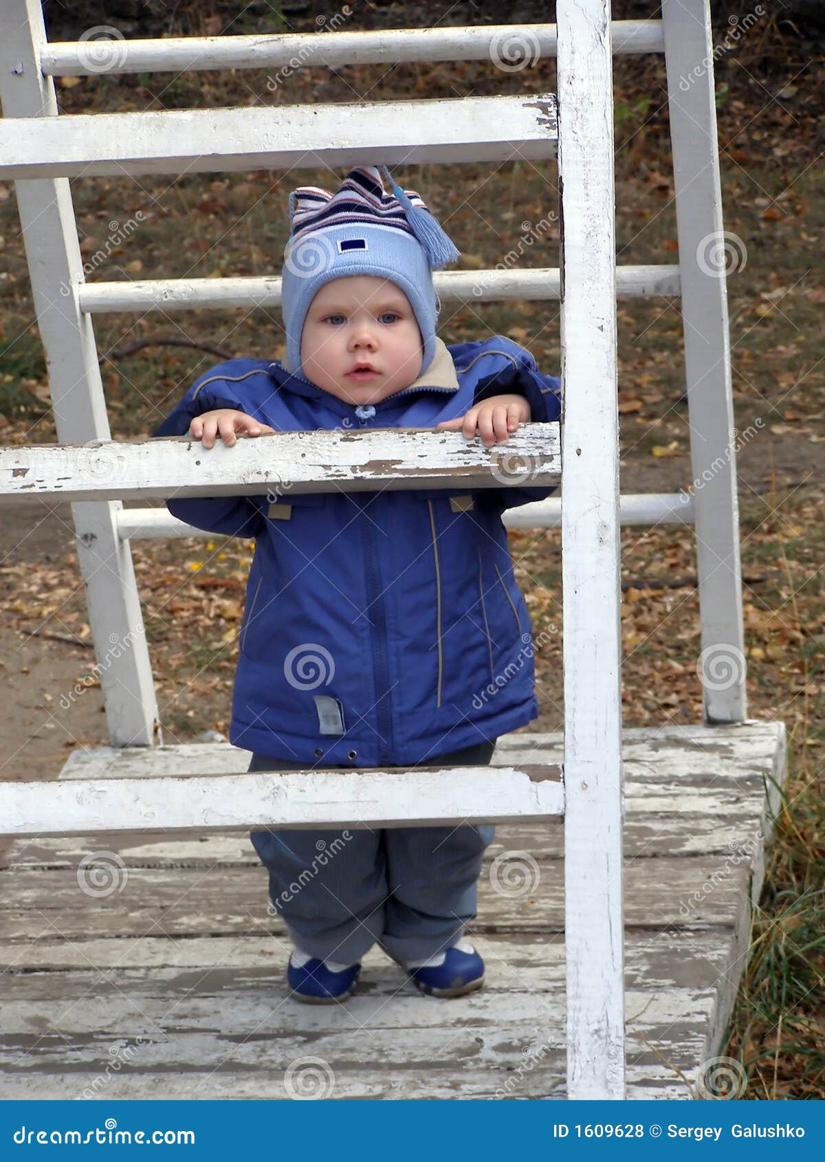 Baby on a ladder stock photo. Image of babies, closeup - 1609628