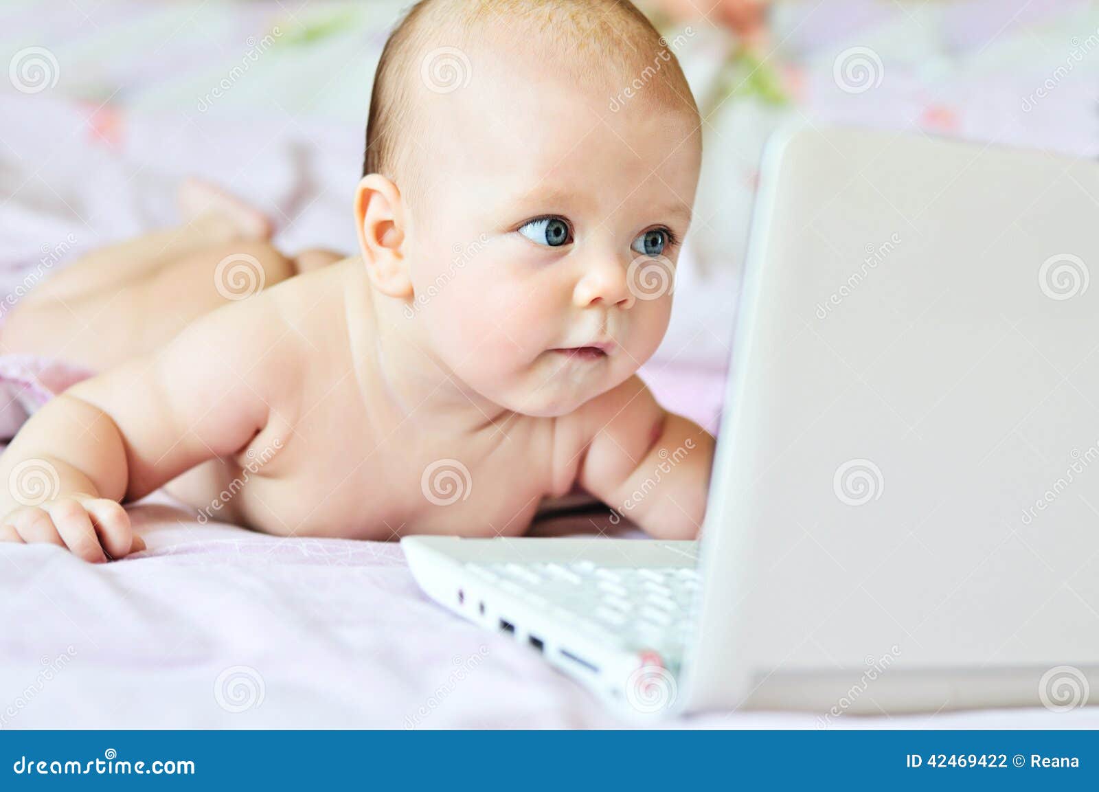 Baby with laptop stock photo. Image of healthy, concept - 42469422