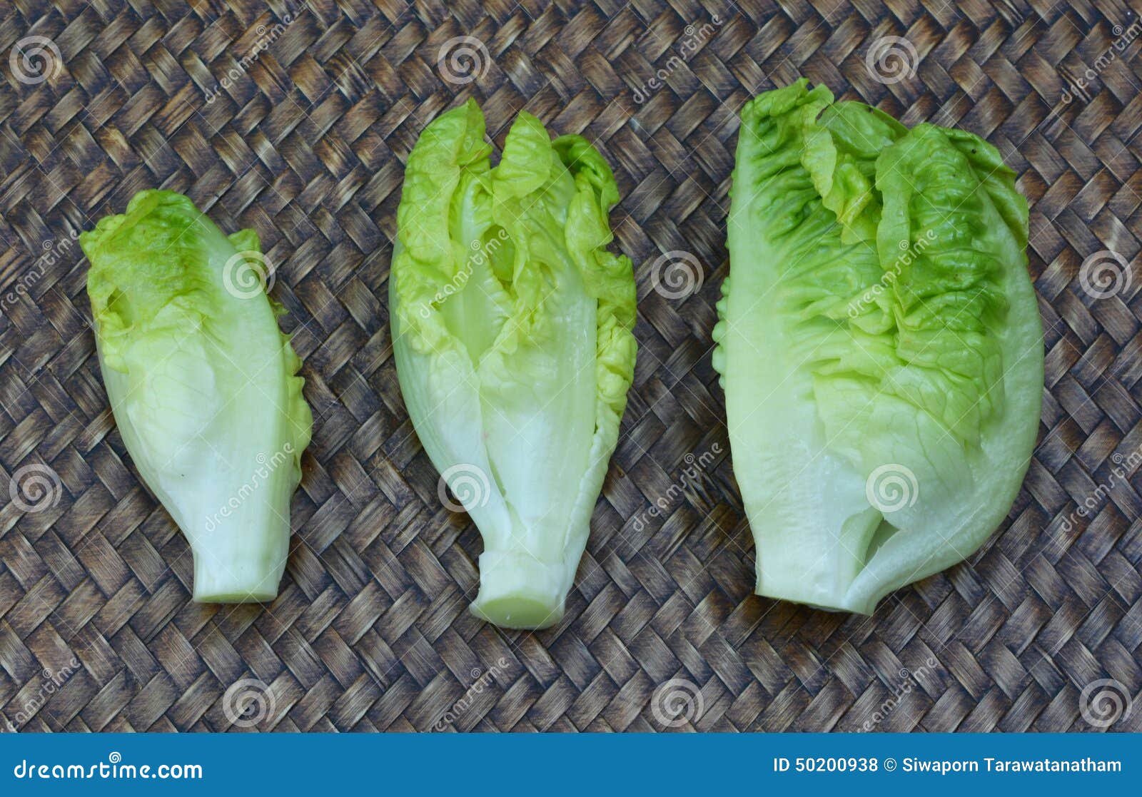 Baby-Lattich stockfoto. Bild von lattich, diät, hintergrund - 50200938