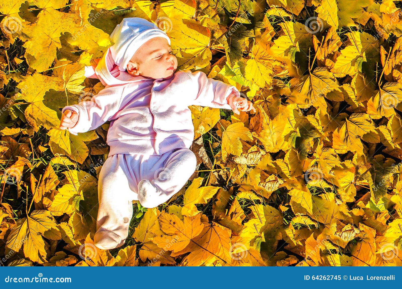 Baby Autumn Leaf Lay Foliage Ground Stock Image - Image of pink ...