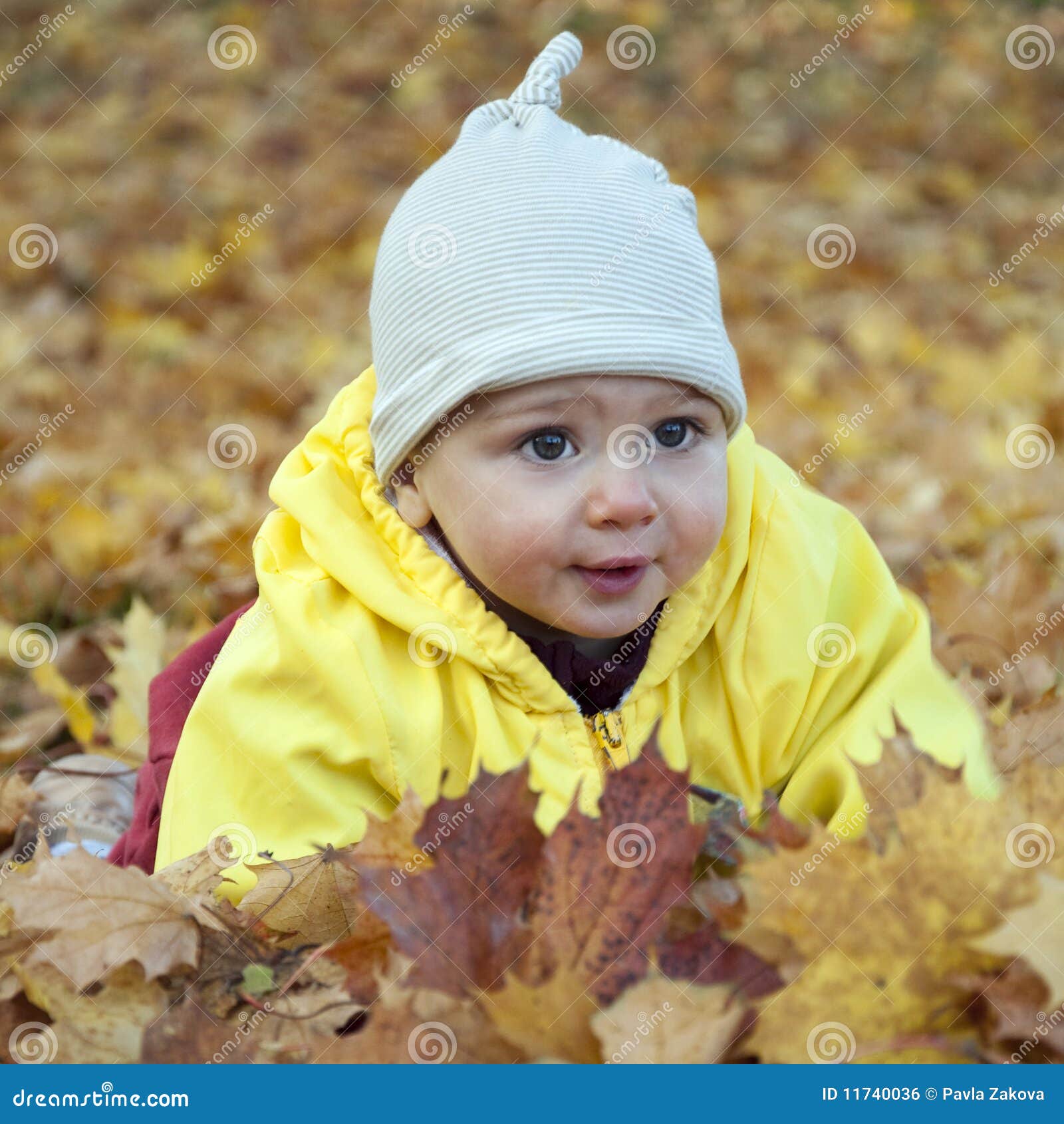 Baby in leaves stock photo. Image of childhood, children - 11740036