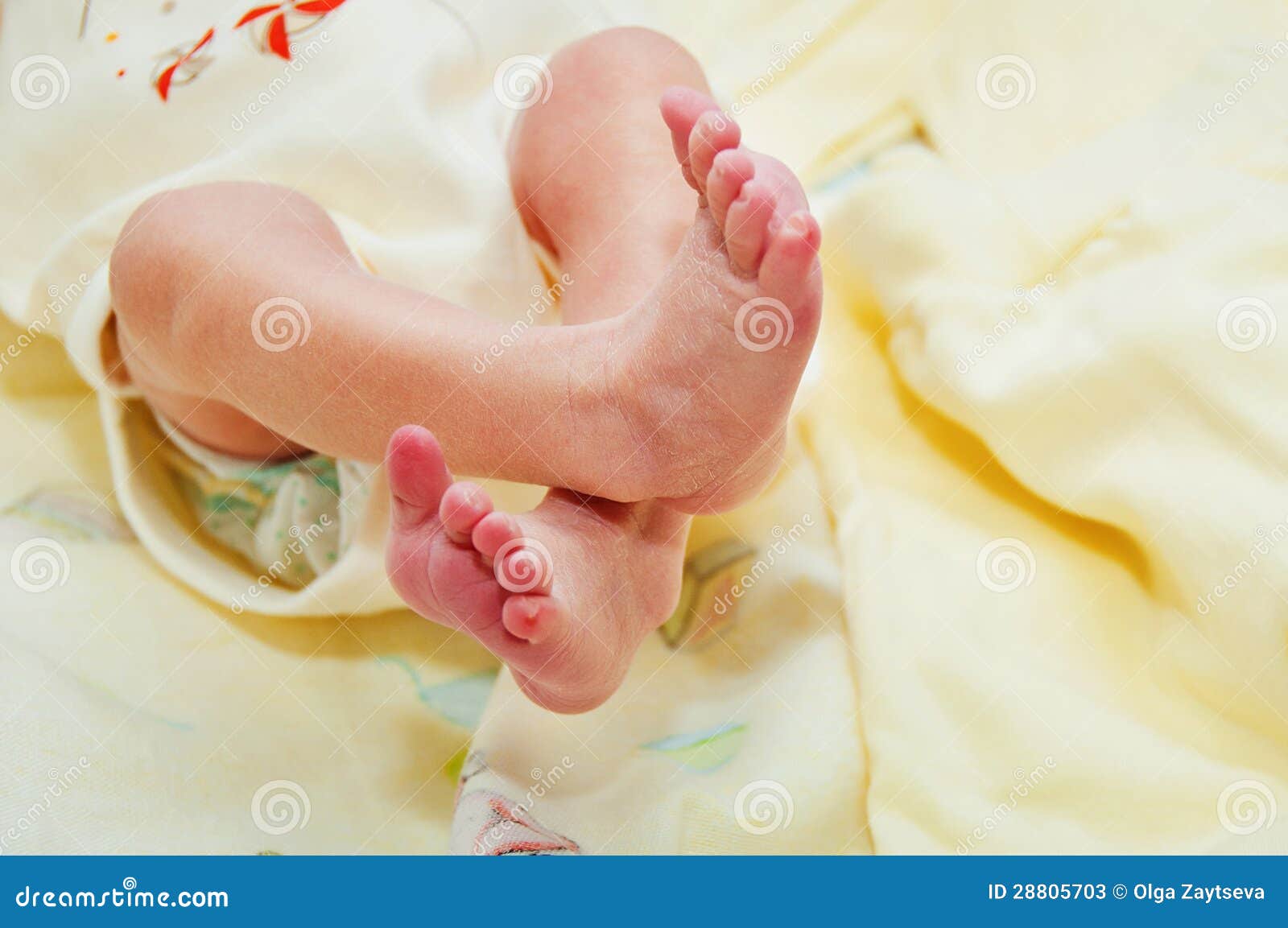 Baby legs stock image. Image of infant, little, foot - 28805703