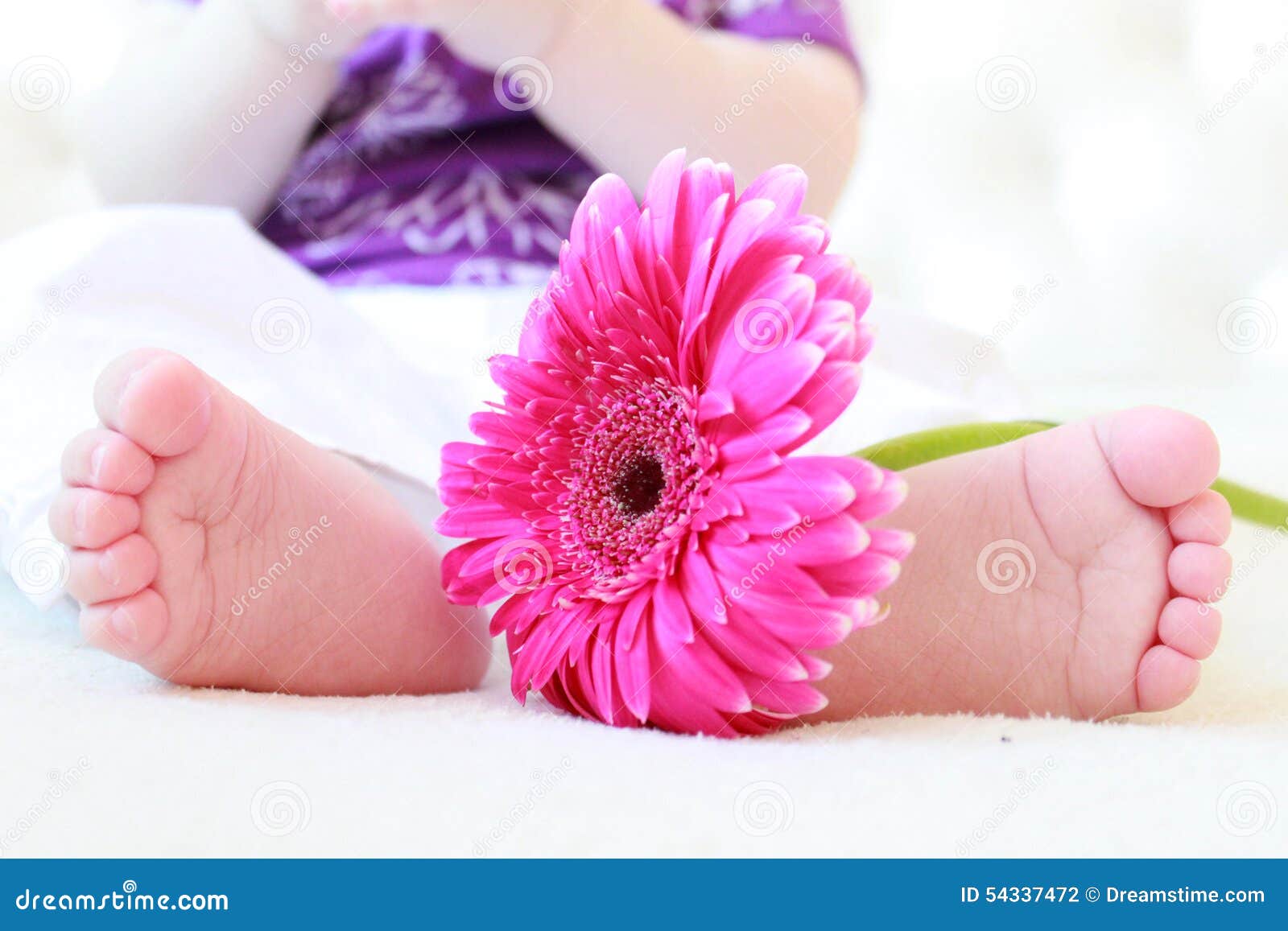 Baby legs in flowers stock photo. Image of little, rose - 54337472
