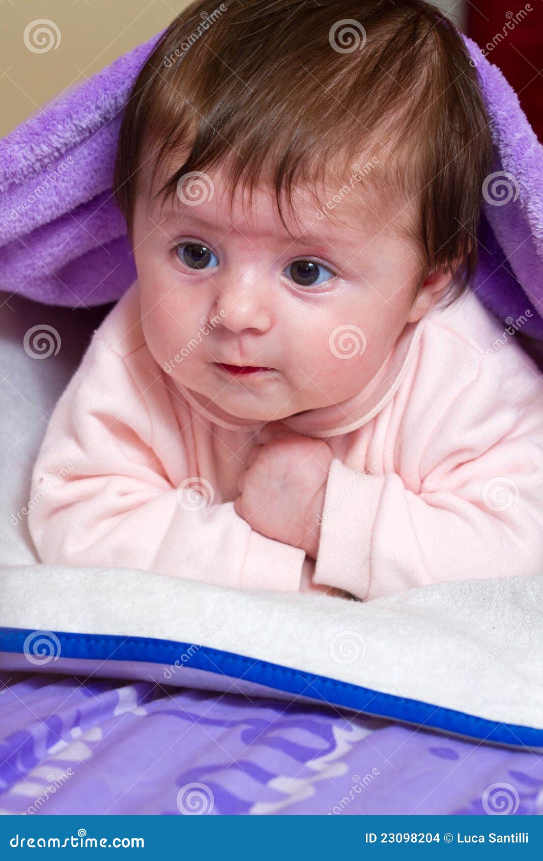 Baby looking out stock photo. Image of birth, celebration - 23098204
