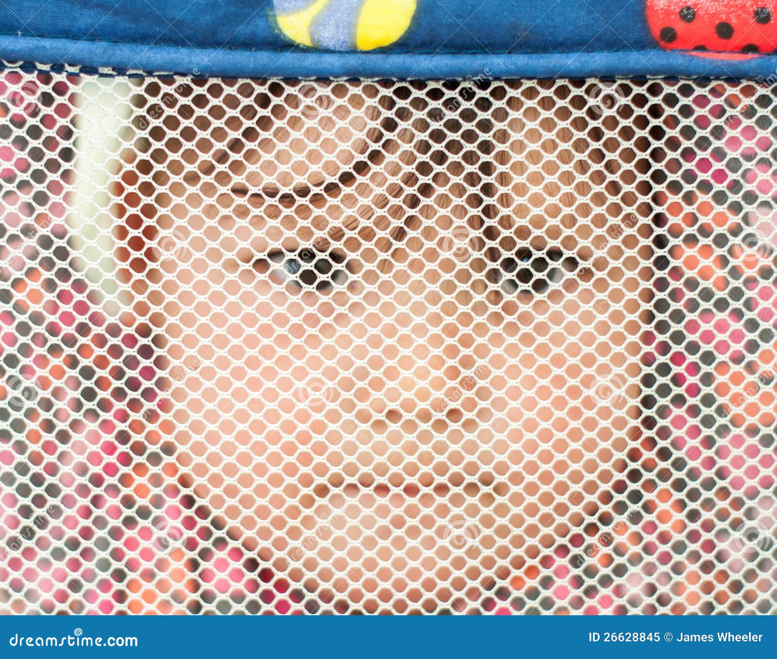 Baby Looking through Play Pen Mesh Stock Image - Image of grid, mesh ...