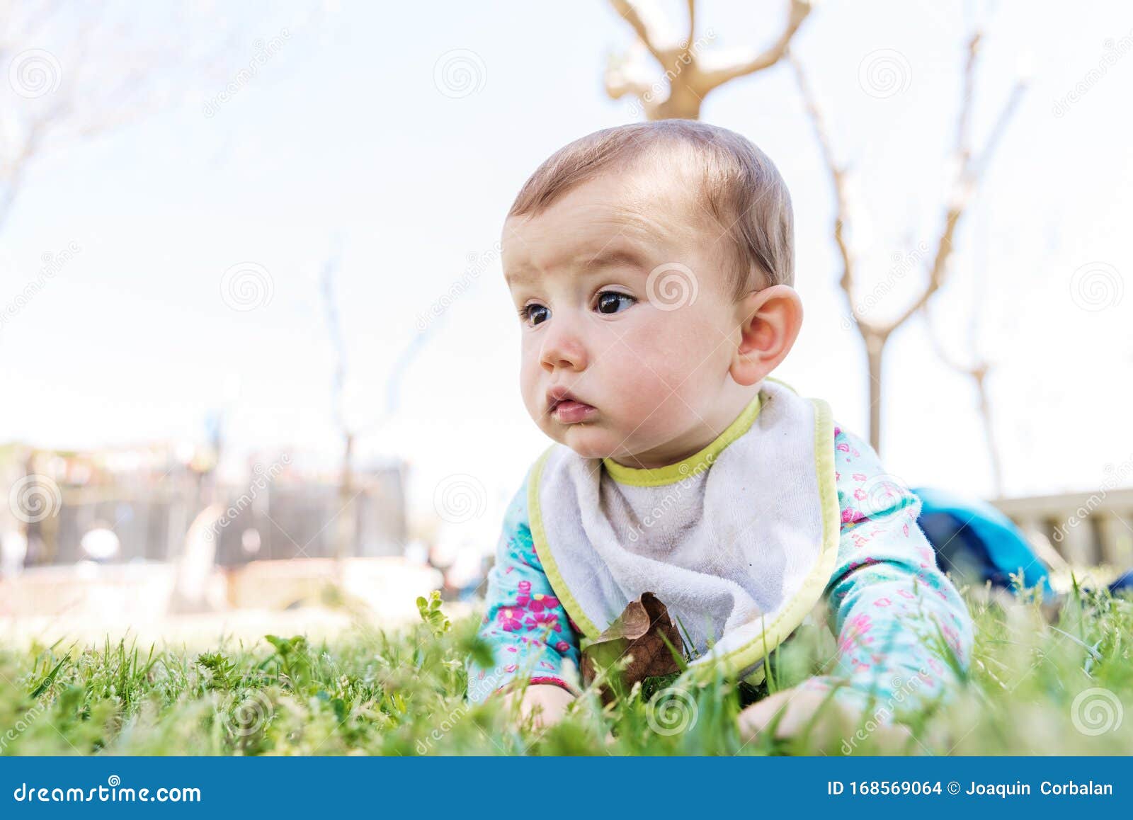 Baby Lying Face Down on the Grass, Raising Her Head Stock Photo - Image ...