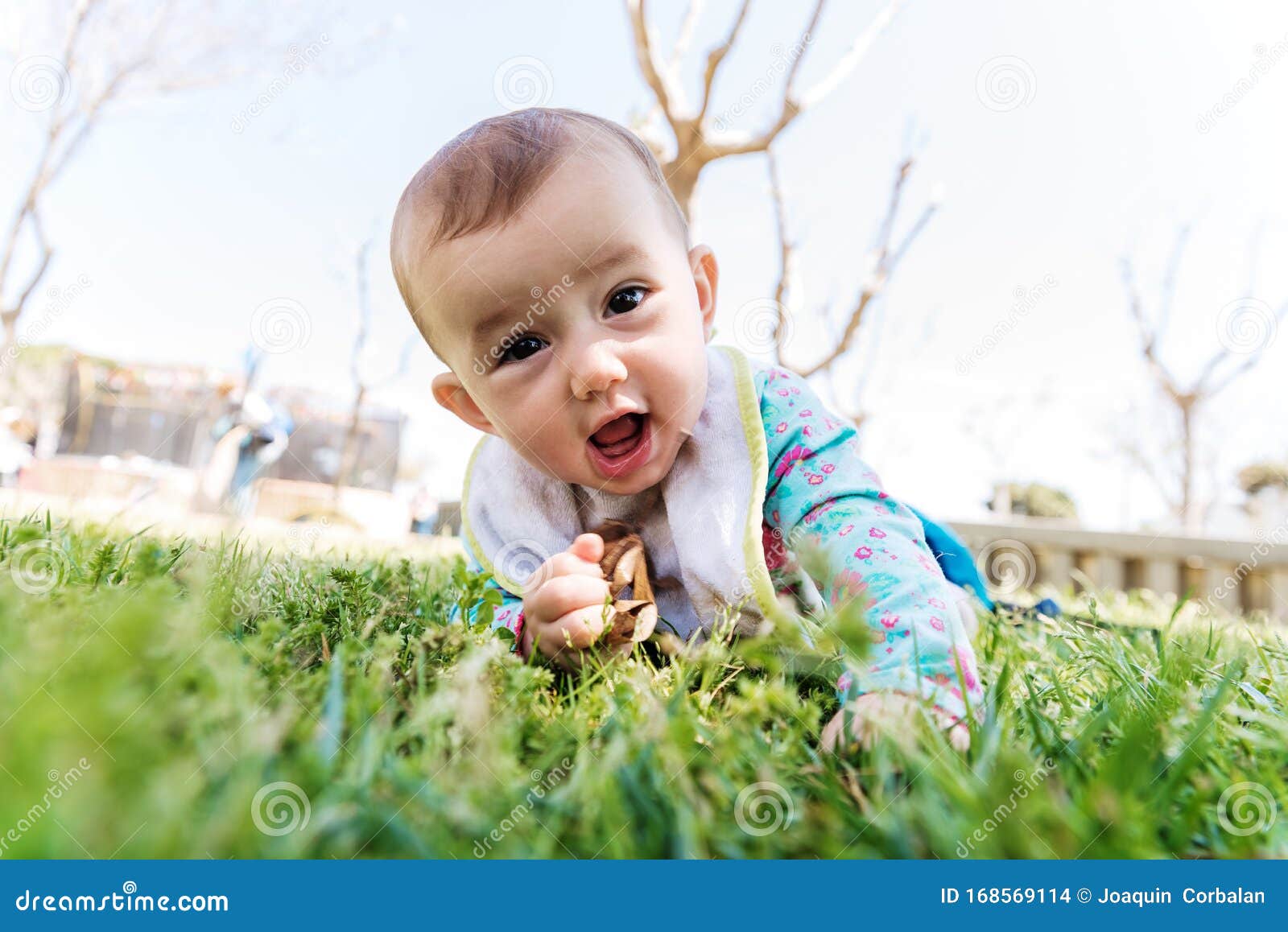 Baby Lying Face Down on the Grass, Raising Her Head Stock Photo - Image ...