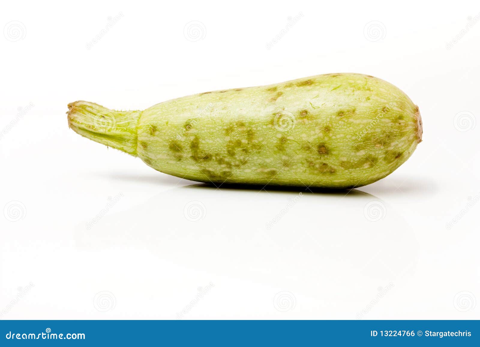 Baby Marrow stock photo. Image of isolated, ingredient - 13224766