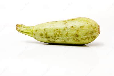Baby Marrow stock photo. Image of isolated, ingredient - 13224766