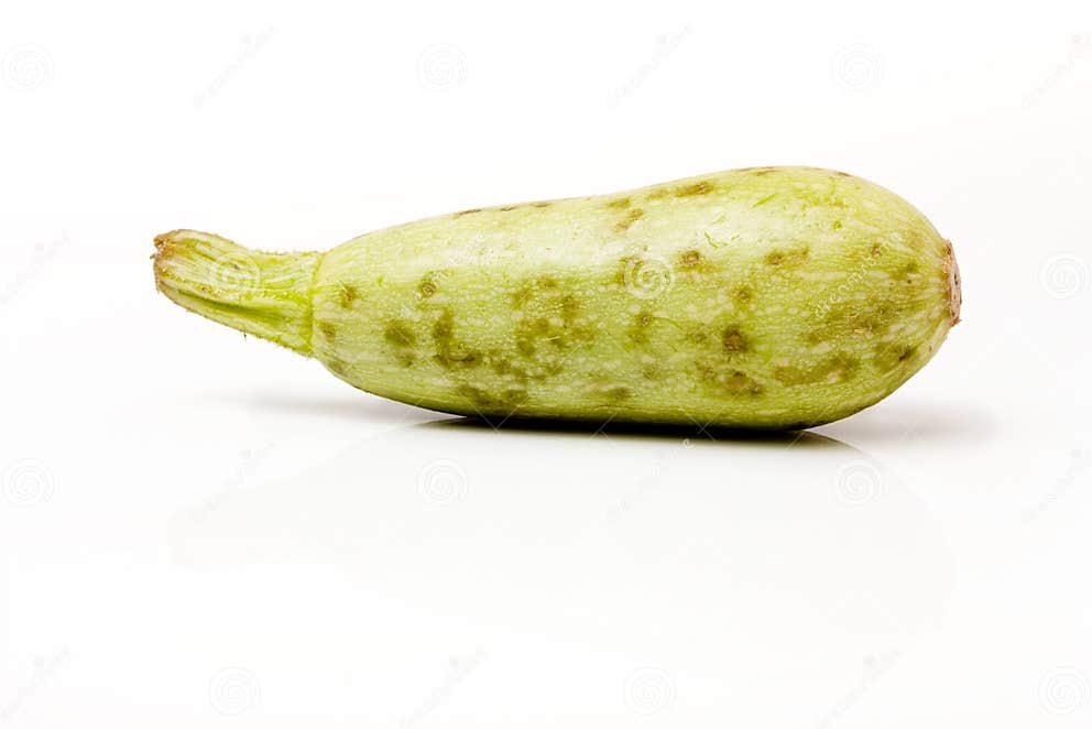 Baby Marrow stock photo. Image of isolated, ingredient - 13224766