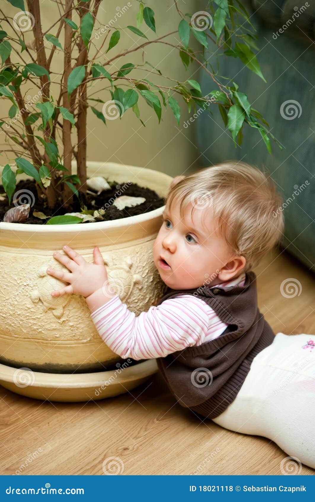 Baby mess at home stock photo. Image of crawl, child - 18021118