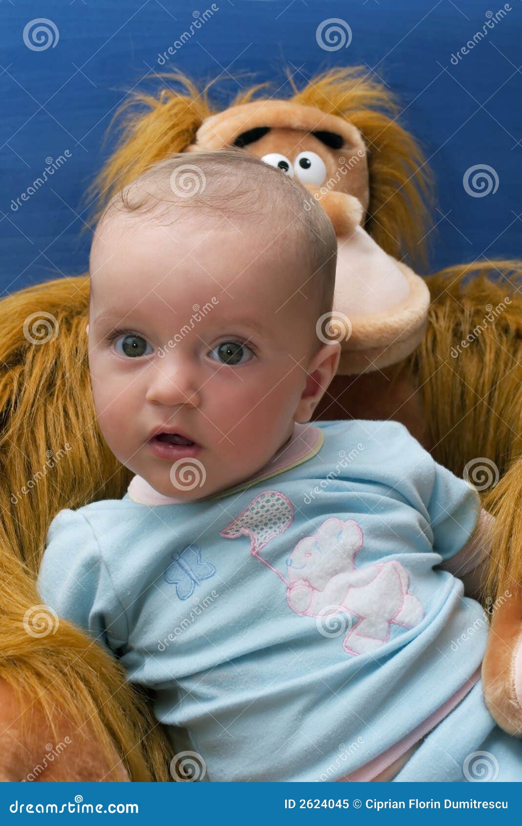 Baby And Monkey Picture. Image: 2624045