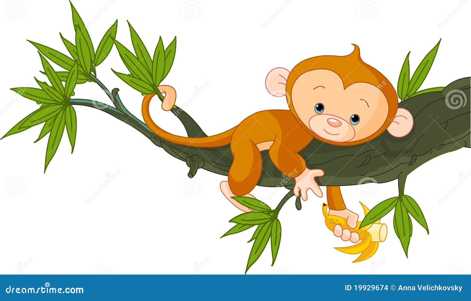 A Big Monkey Pod Tree Vector Illustration Isolated On A White ...