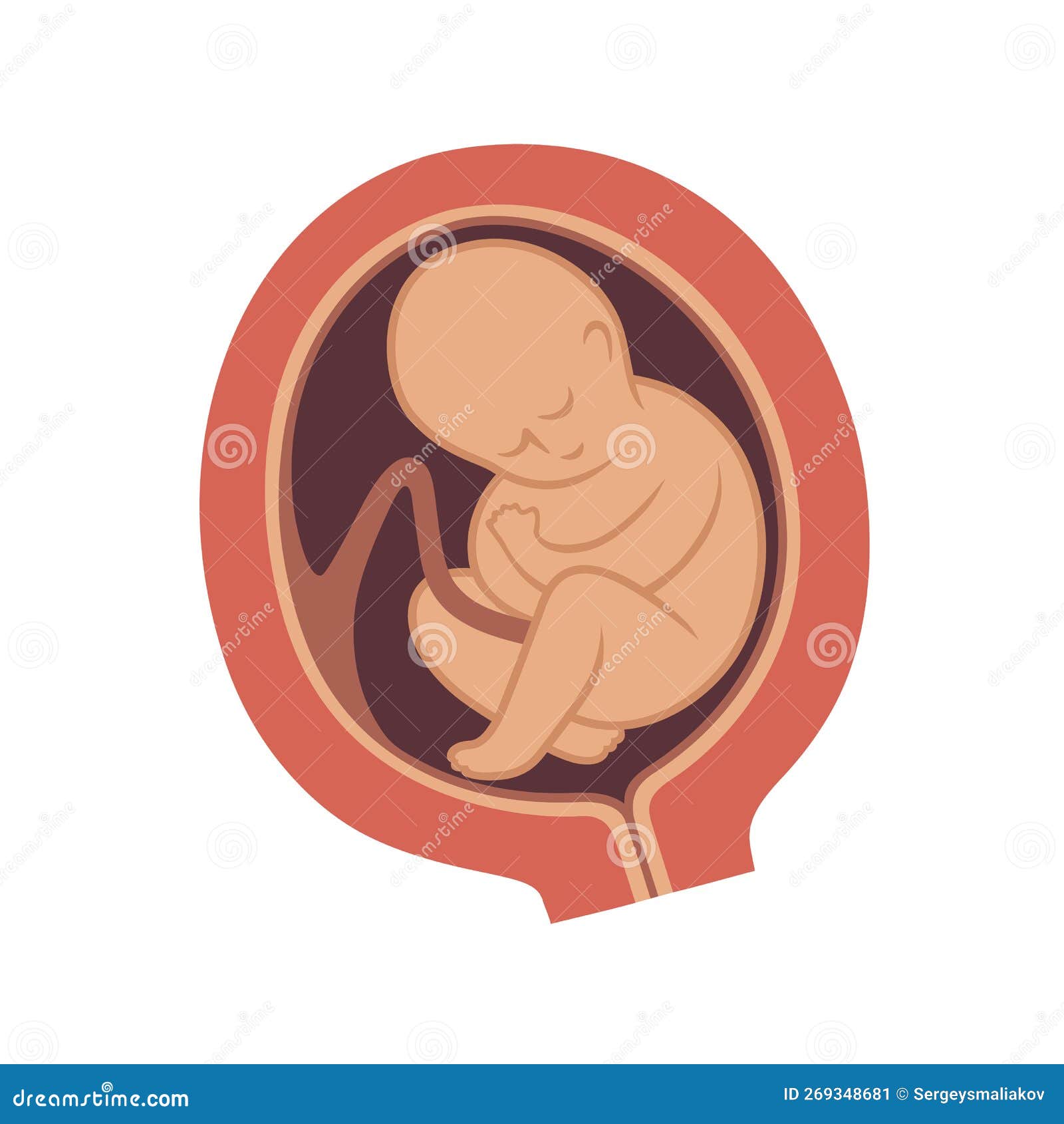 Baby in Mother S Womb, Image Stock Vector - Illustration of care ...