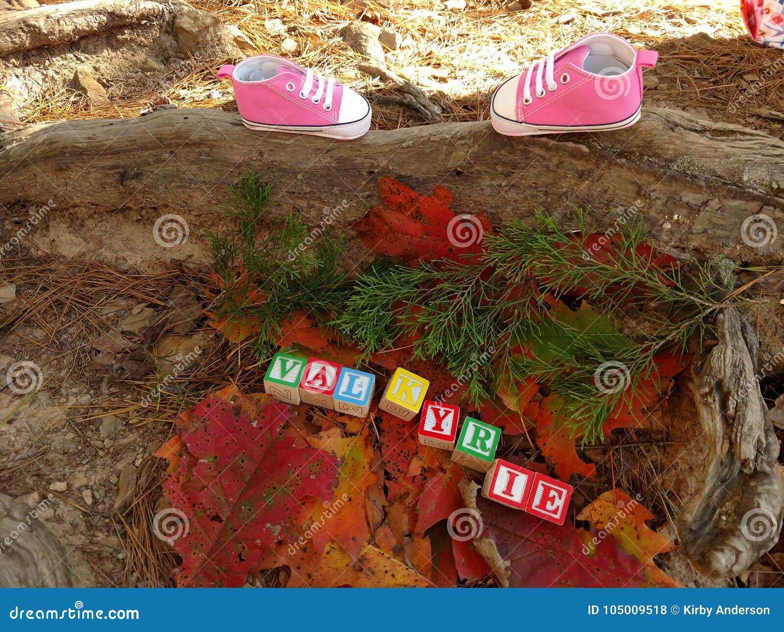 Baby valkyrie stock photo. Image of spelled, valkyrie - 105009518