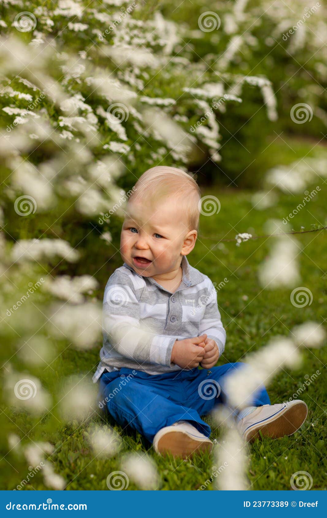 Baby in nature stock image. Image of cherry, meadow, nature - 23773389