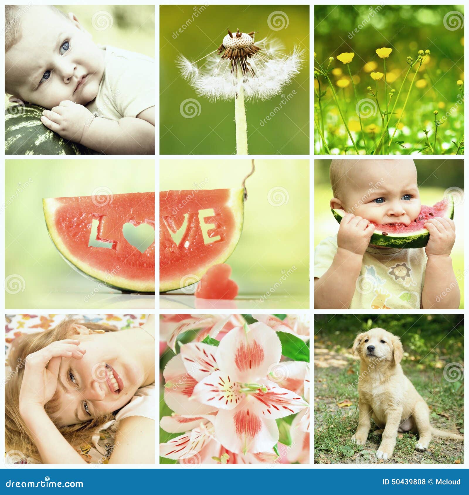 Nature Collage Stock Photo | CartoonDealer.com #12799962