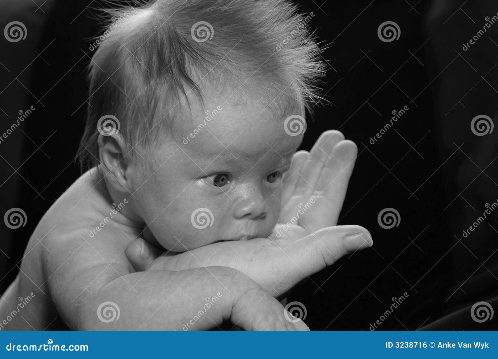 Baby Being Born Isolated Stock Photos - Free & Royalty-Free Stock ...