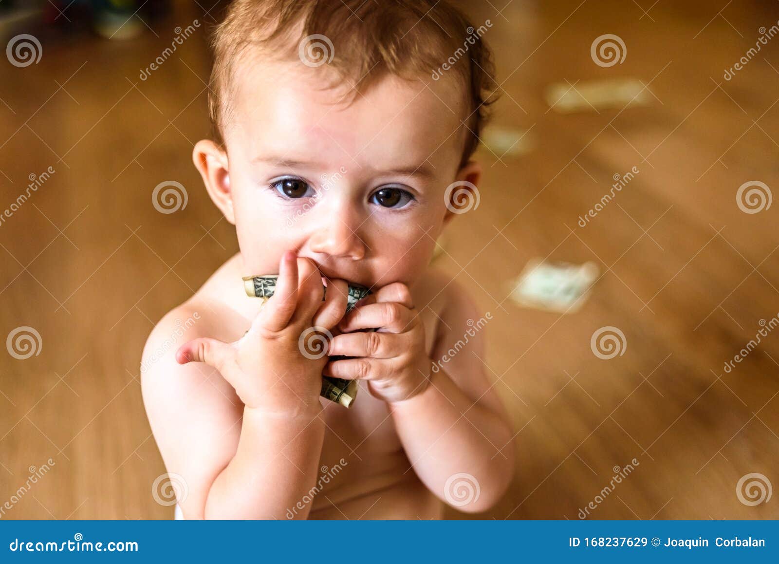 Baby Nibbling a 1 Dollar Bill Stock Image - Image of america, children ...