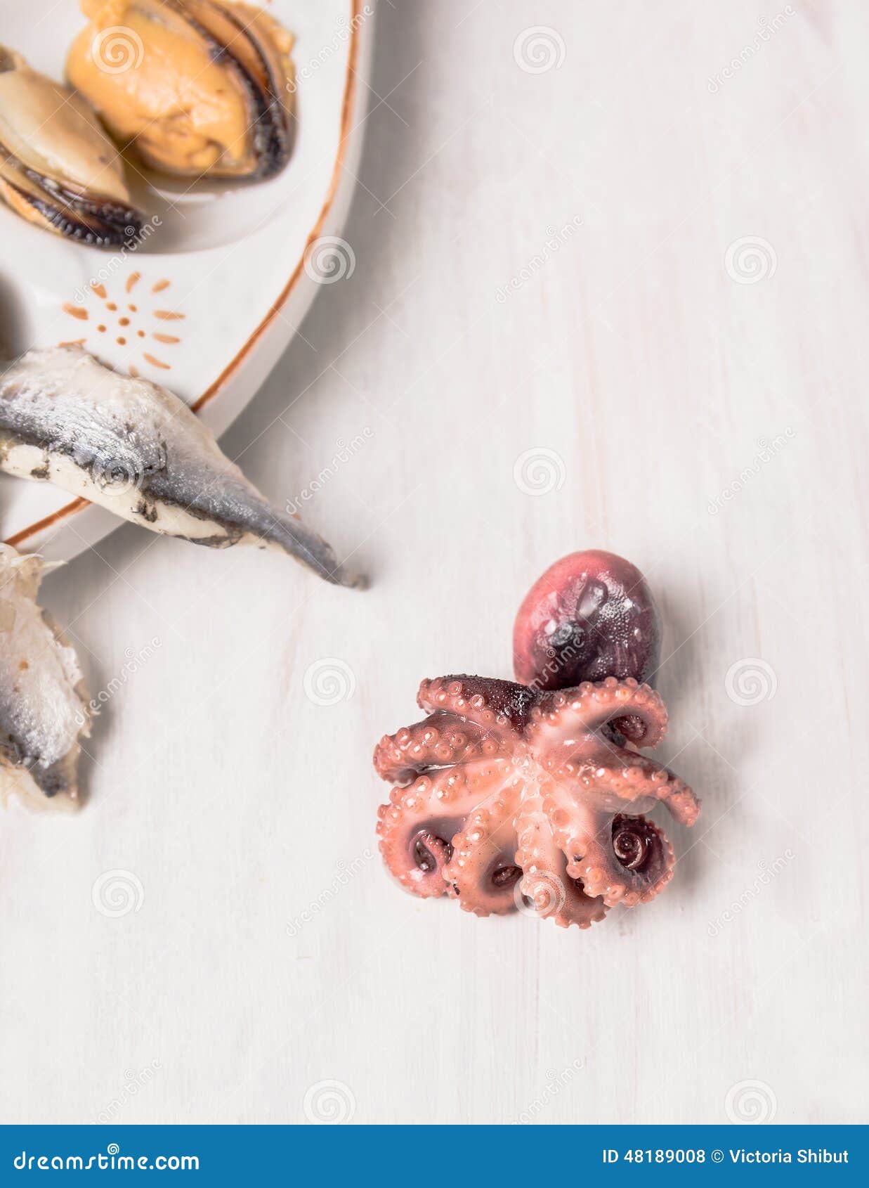 Baby Octopus Overhead on White Wooden Stock Photo - Image of lunch ...