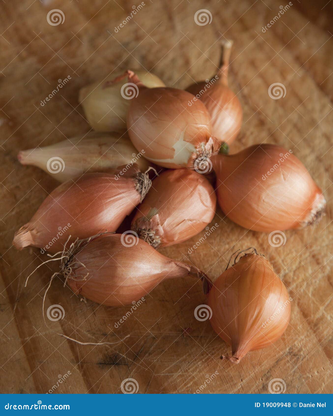 Baby onions stock photo. Image of food, ingredients, beverages - 19009948