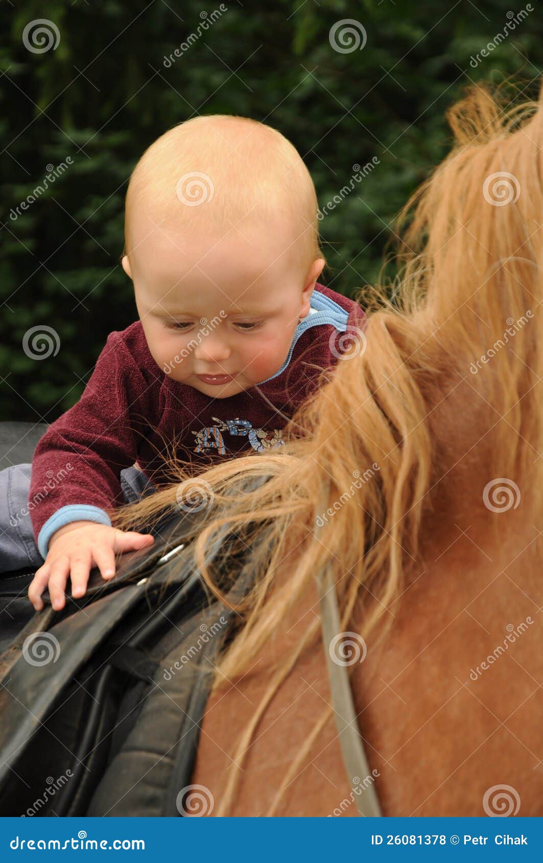 Alleen Foto's Van Babypaarden 🌟 Een Bijzondere Eerste Keer Twee