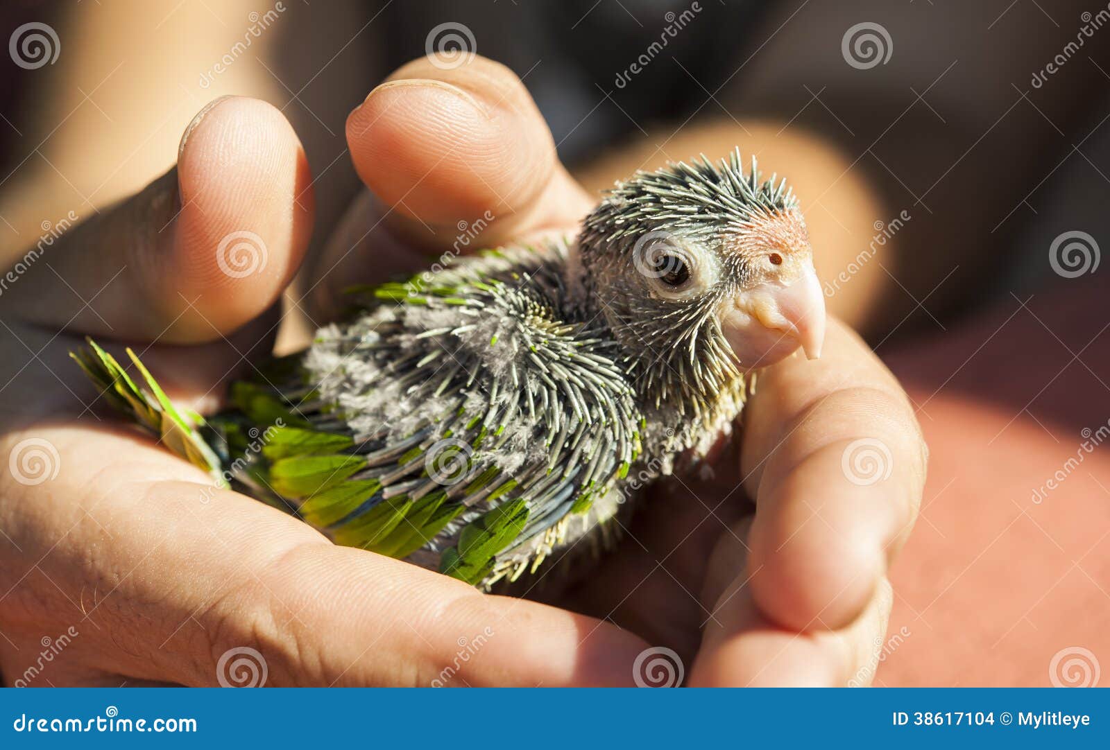 Baby And Orange Royalty-Free Stock Photography | CartoonDealer.com ...