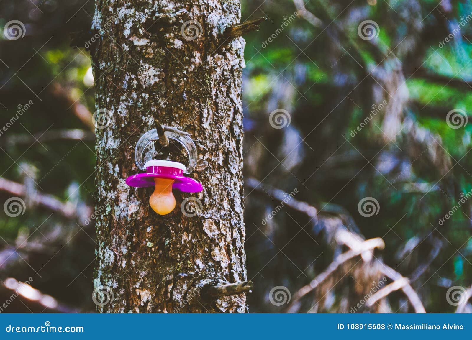 Pacifier hanging on a tree stock photo. Image of tree - 108915608