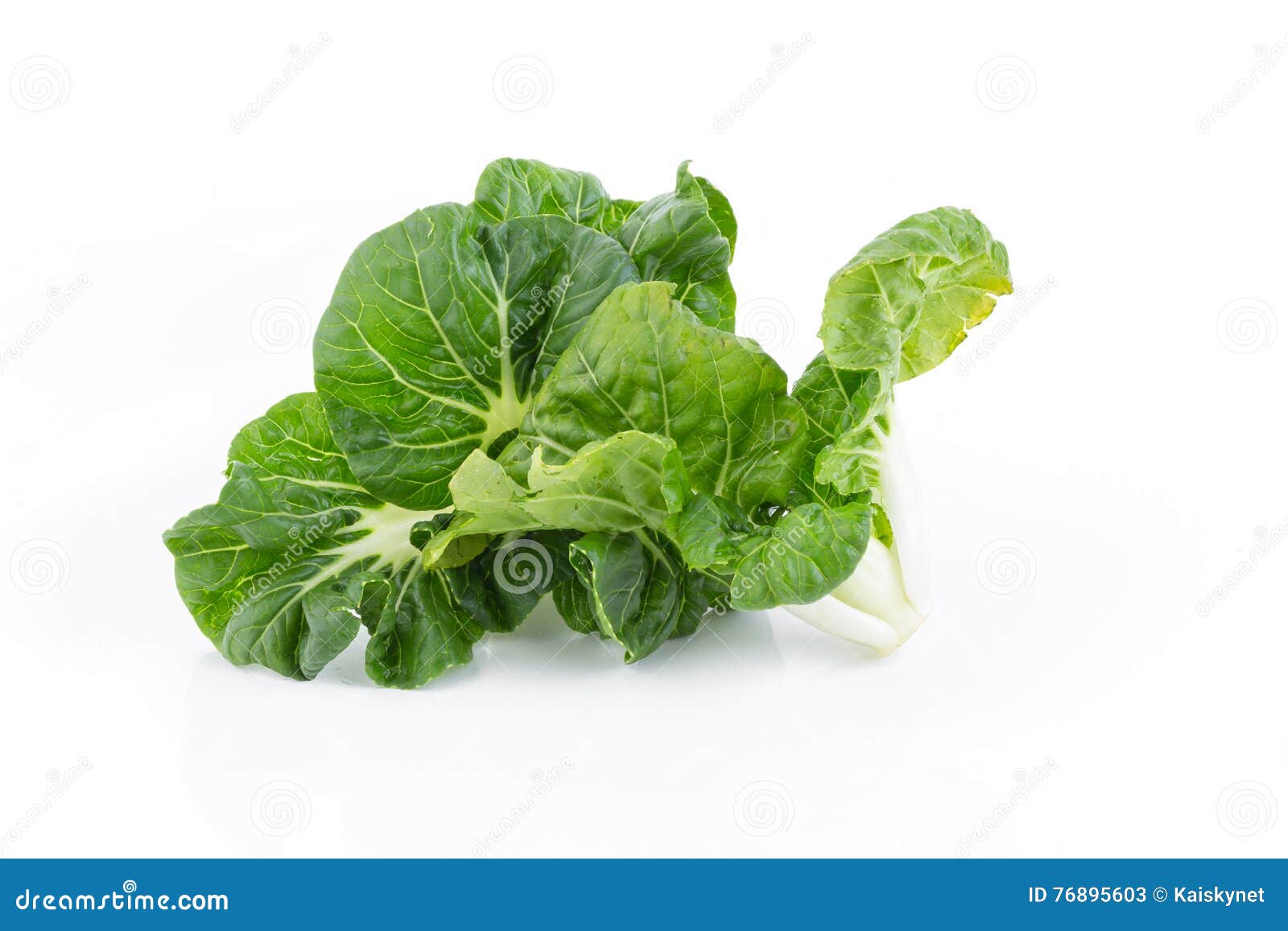 Baby Pak Choi on a White Background Stock Image - Image of diet, full ...
