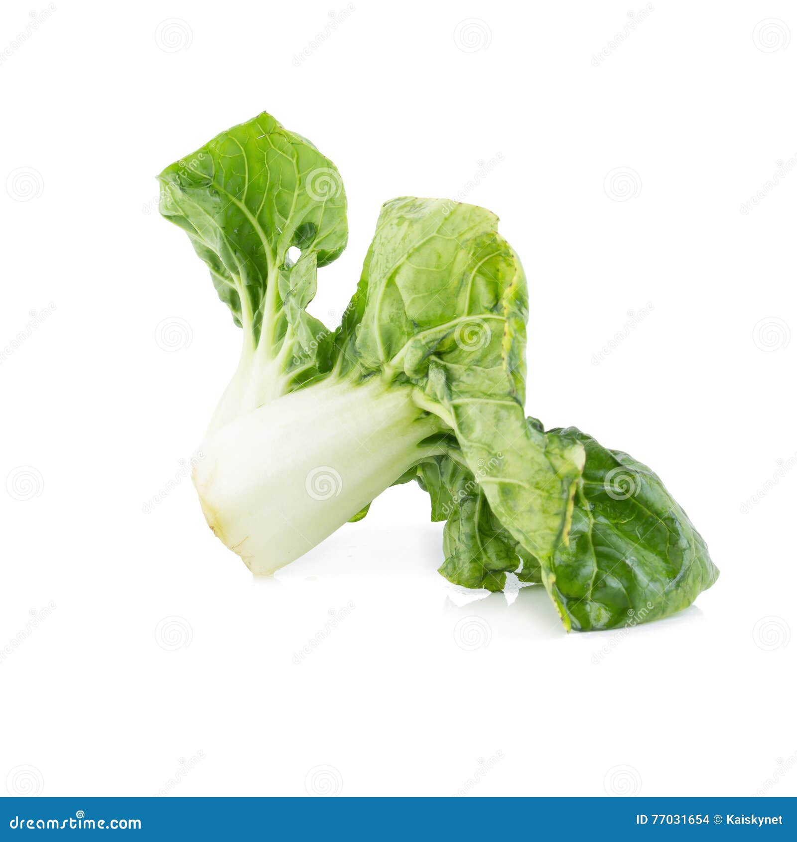 Baby Pak Choi on a White Background Stock Photo - Image of choy, green ...
