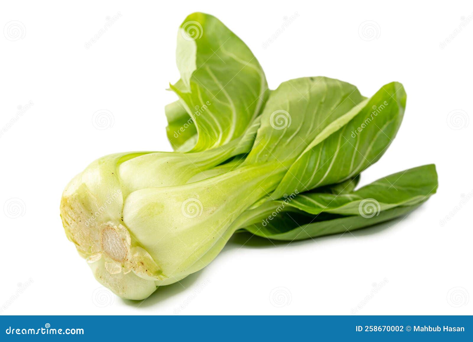 Baby Pak Choy or Chinese Cabbage on White Stock Photo - Image of edible ...