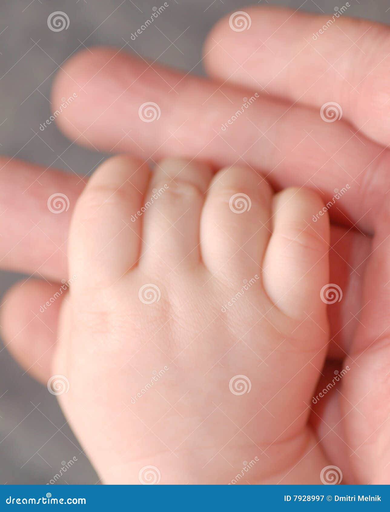 Baby palm in father hand stock image. Image of father - 7928997