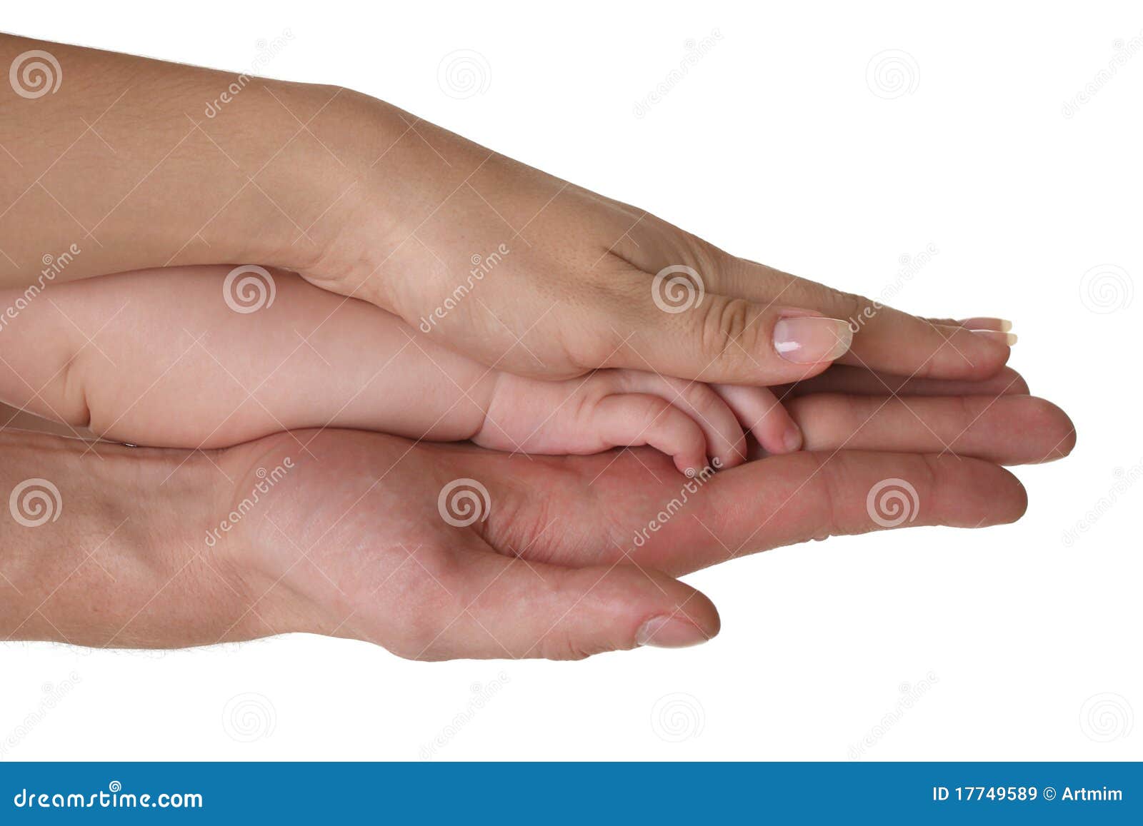 Baby and Parent Holding Hands Stock Image - Image of family, life: 17749589