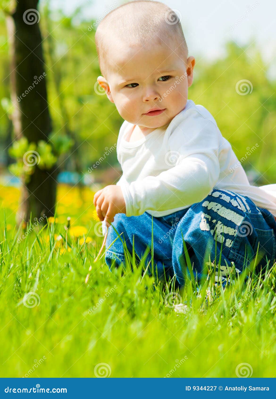 Baby in park stock image. Image of infant, male, concentrate - 9344227