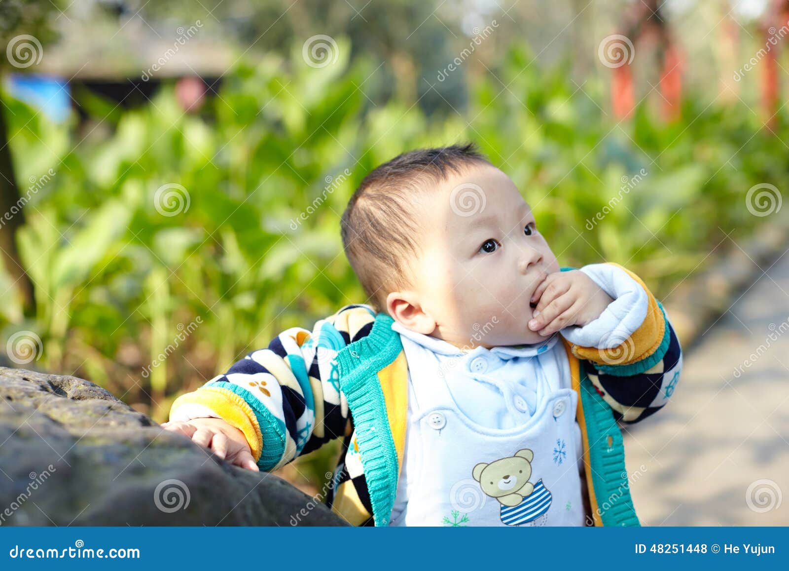 Baby peep out of the stone stock photo. Image of peek - 48251448