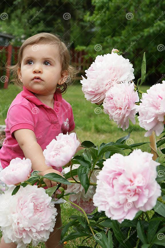 Baby and peonies stock image. Image of toddler, large - 14887991