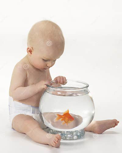 Baby with pet fish stock photo. Image of child, happy - 5538854