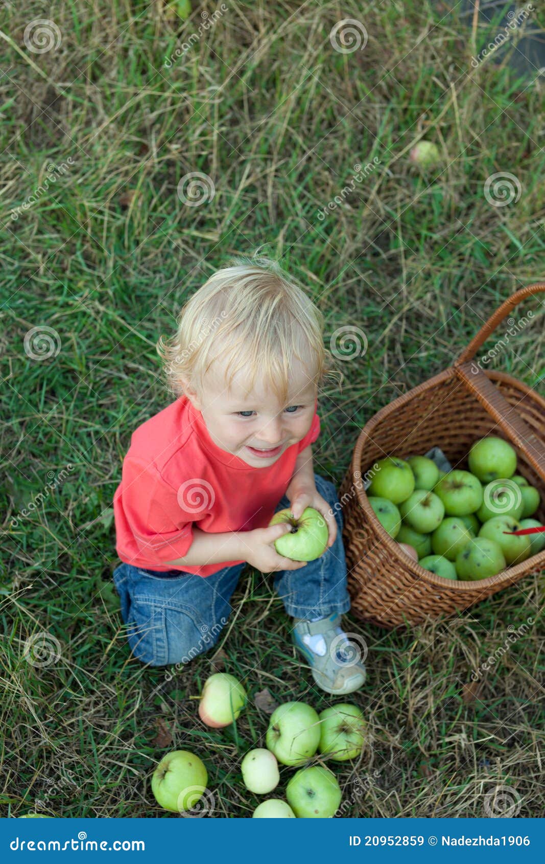 Baby picking apples stock image. Image of apples, happy - 20952859