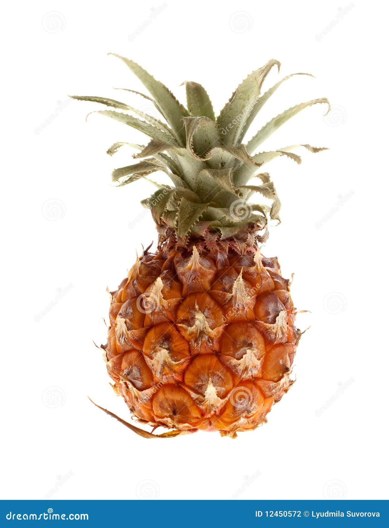 Baby pineapple stock photo. Image of natural, appetizer - 12450572