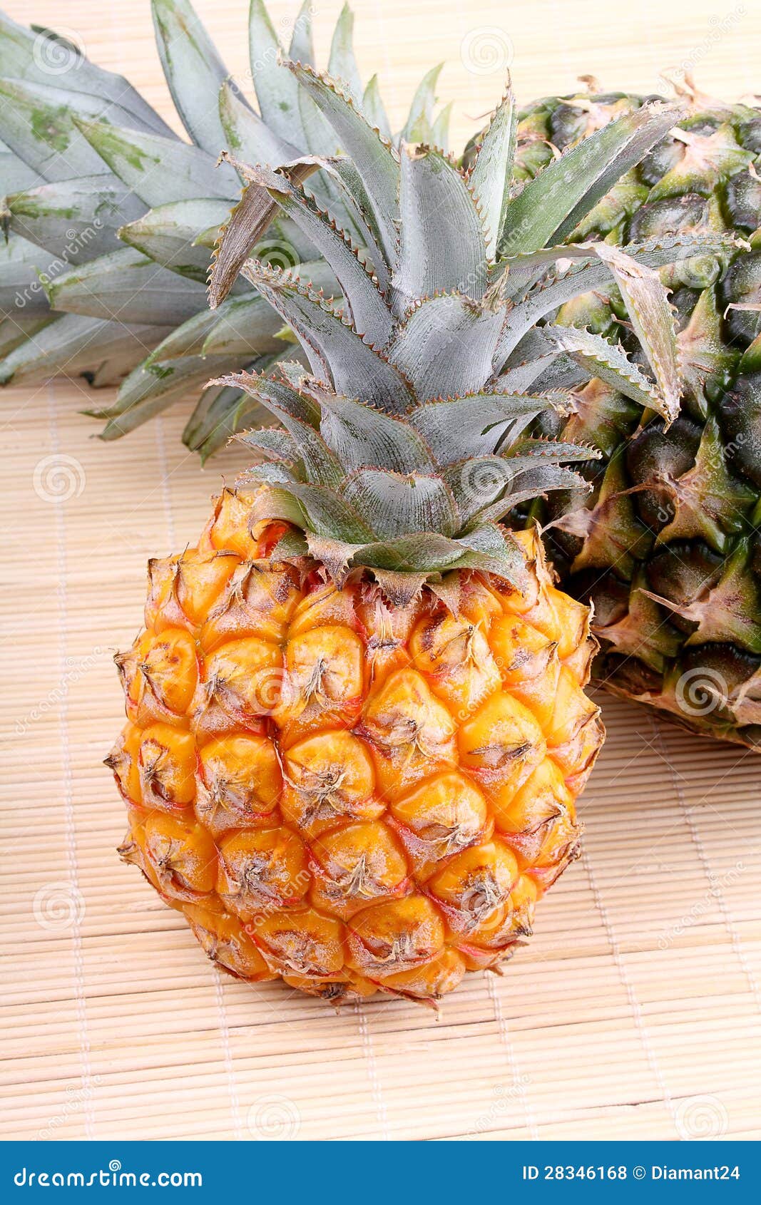 Baby Pineapple Plant Stock Photo | CartoonDealer.com #69752538