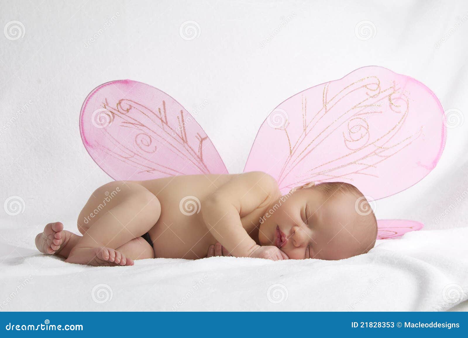 Pink Angel Feather Message Banner Background Stock Image ...