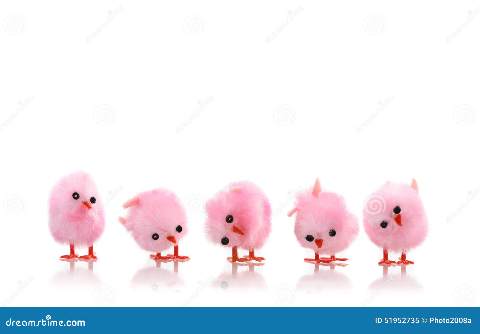 Baby Pink Bird Chicks stock image. Image of celebration - 51952735