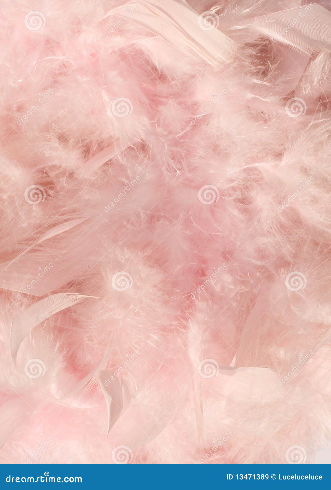 Fluffy Feather Floating On Water With Algae Under Water And Defocused ...