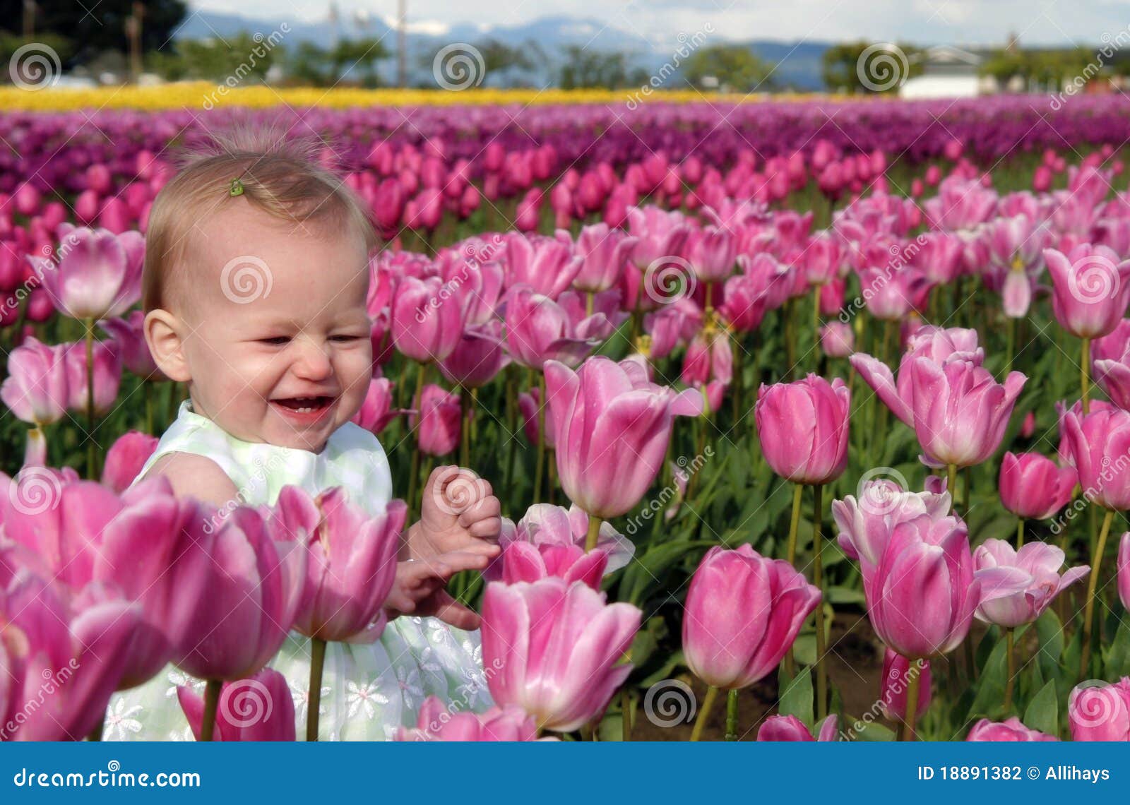 Baby in Pink Tulips stock photo. Image of tooth, farm - 18891382