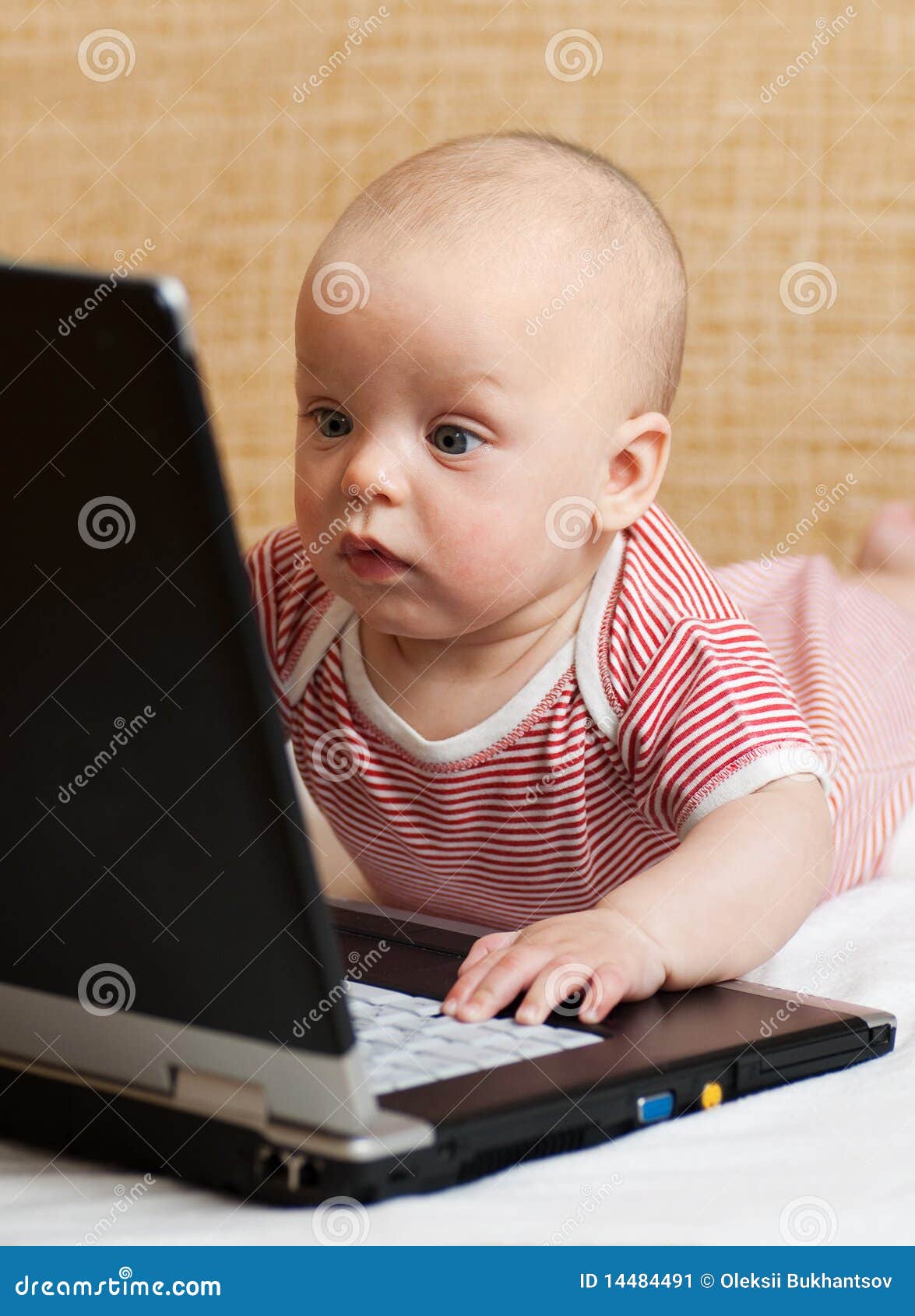 Baby playing with a laptop stock image. Image of small - 14484491