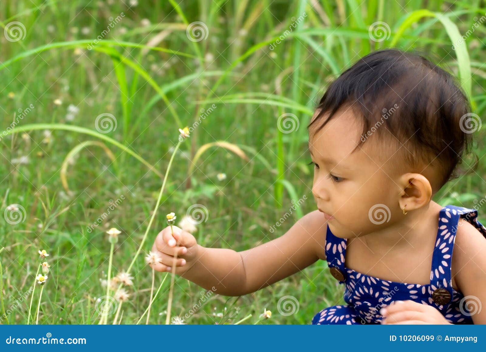 Baby playing in nature stock image. Image of grass, meadow - 10206099