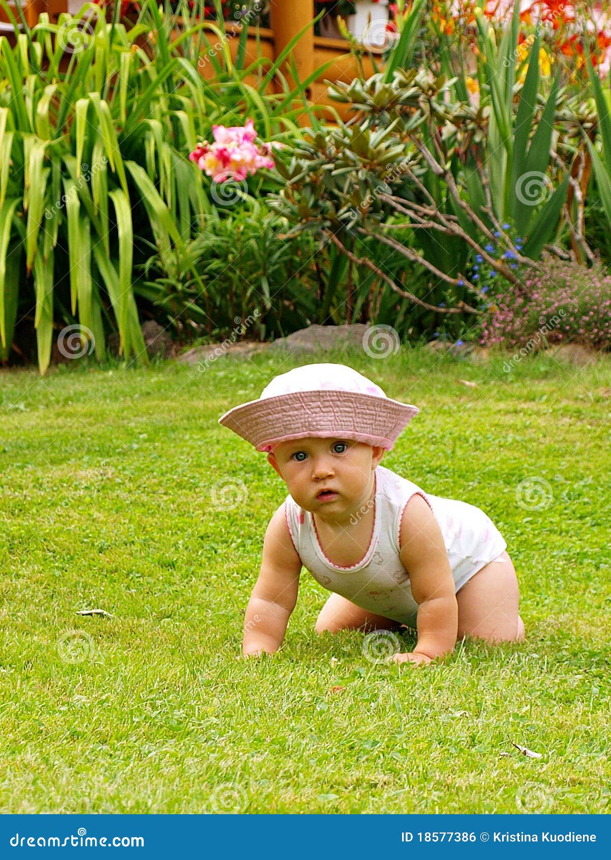 Baby playing outdoor stock photo. Image of leaf, person - 18577386